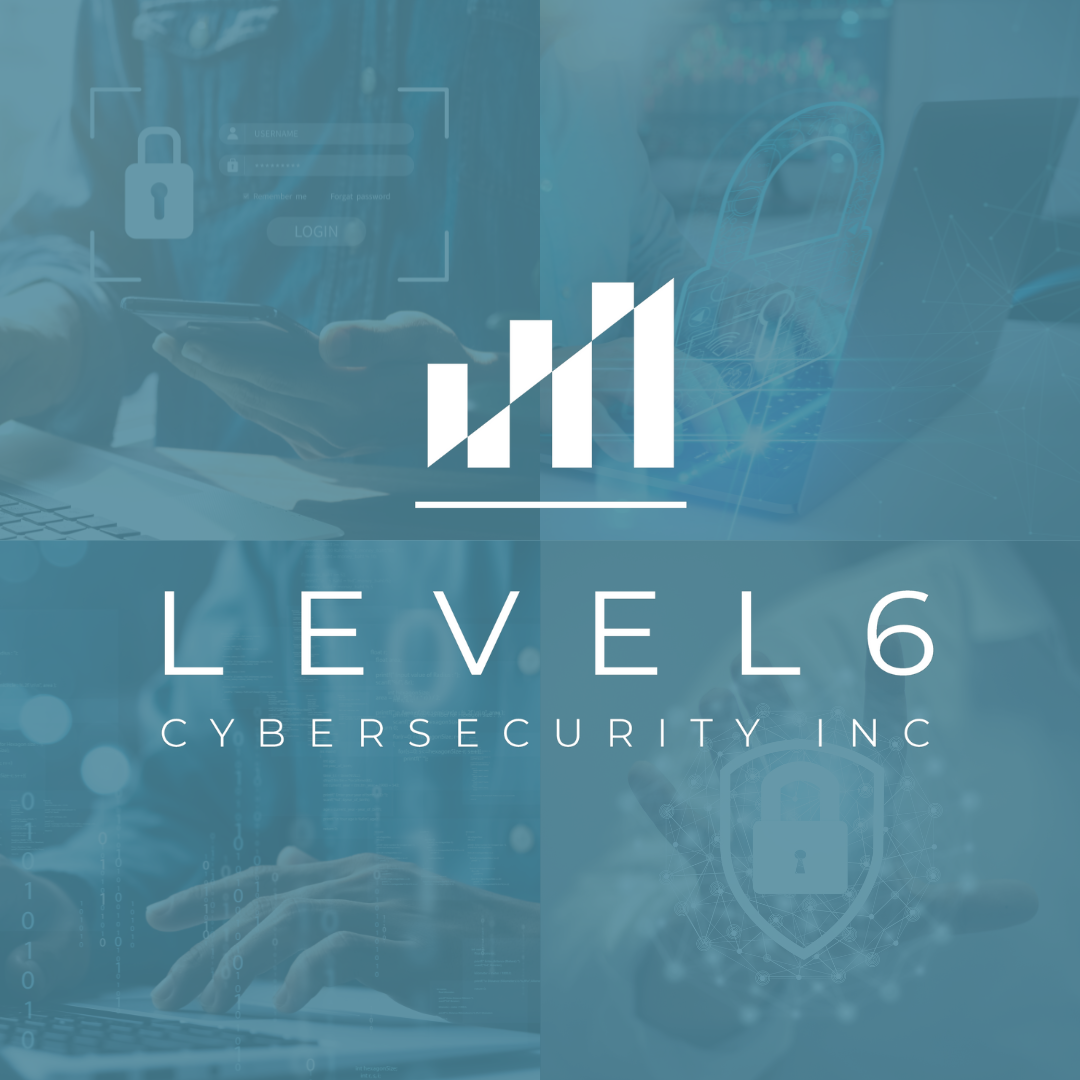 LEVEL 6 Helps Companies Choose and Implement the Most Effective ...